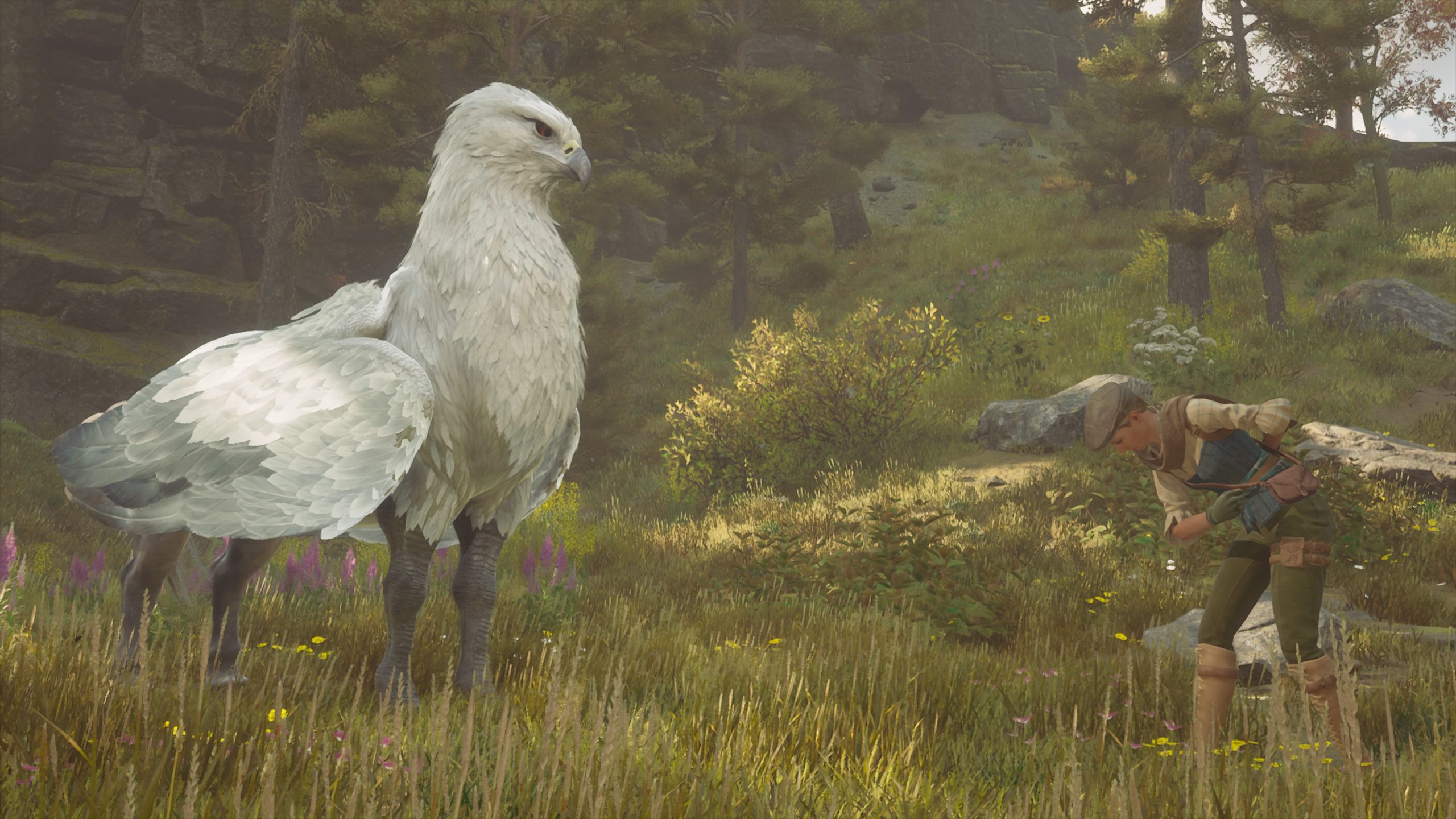 Hogwarts Legacy How To Catch A Hippogriff Magical Beast Guide Gameranx Hogwarts Legacy How To Catch A Hippogriff Magical Beast Guide Gameranx