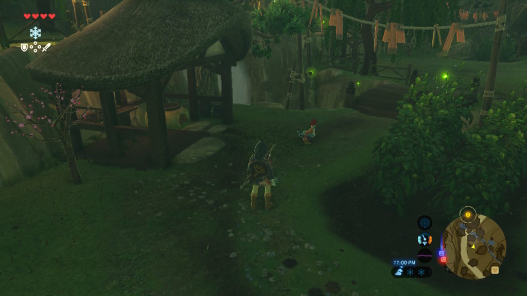 Legend of Zelda: Breath of the Wild - Flown the Coop | Side Quest Guide ...