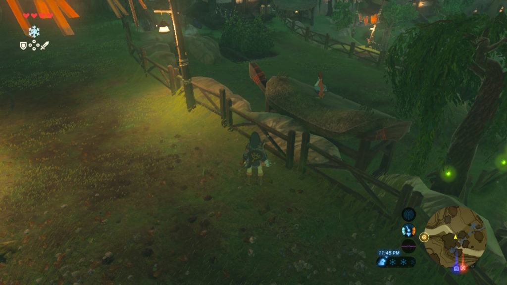 Legend of Zelda: Breath of the Wild - Flown the Coop | Side Quest Guide ...