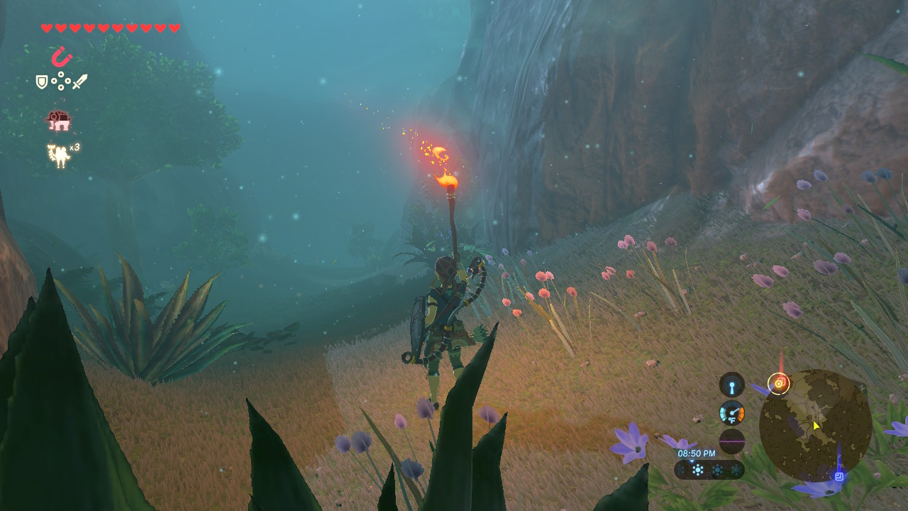 Breath of the Wild - How to Navigate the Lost Woods | Hero Sword Guide ...