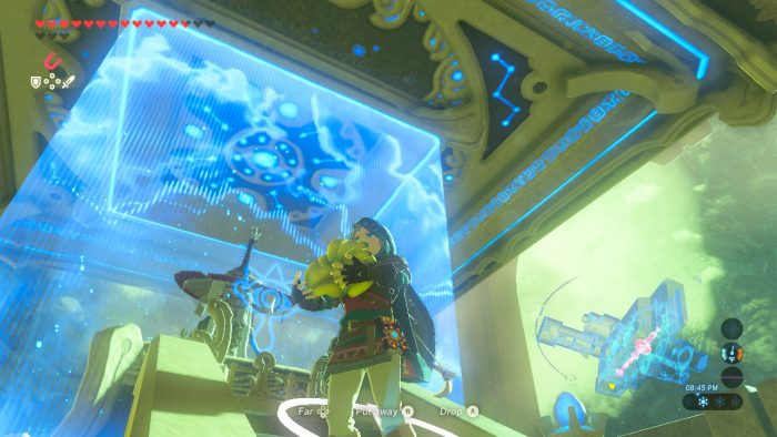 Breath of the Wild: Champions' Ballad - Sheikah Monks Love Bananas ...