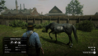 Red Dead Redemption 2: How To Find Every Horse In One Spot | Stable ...