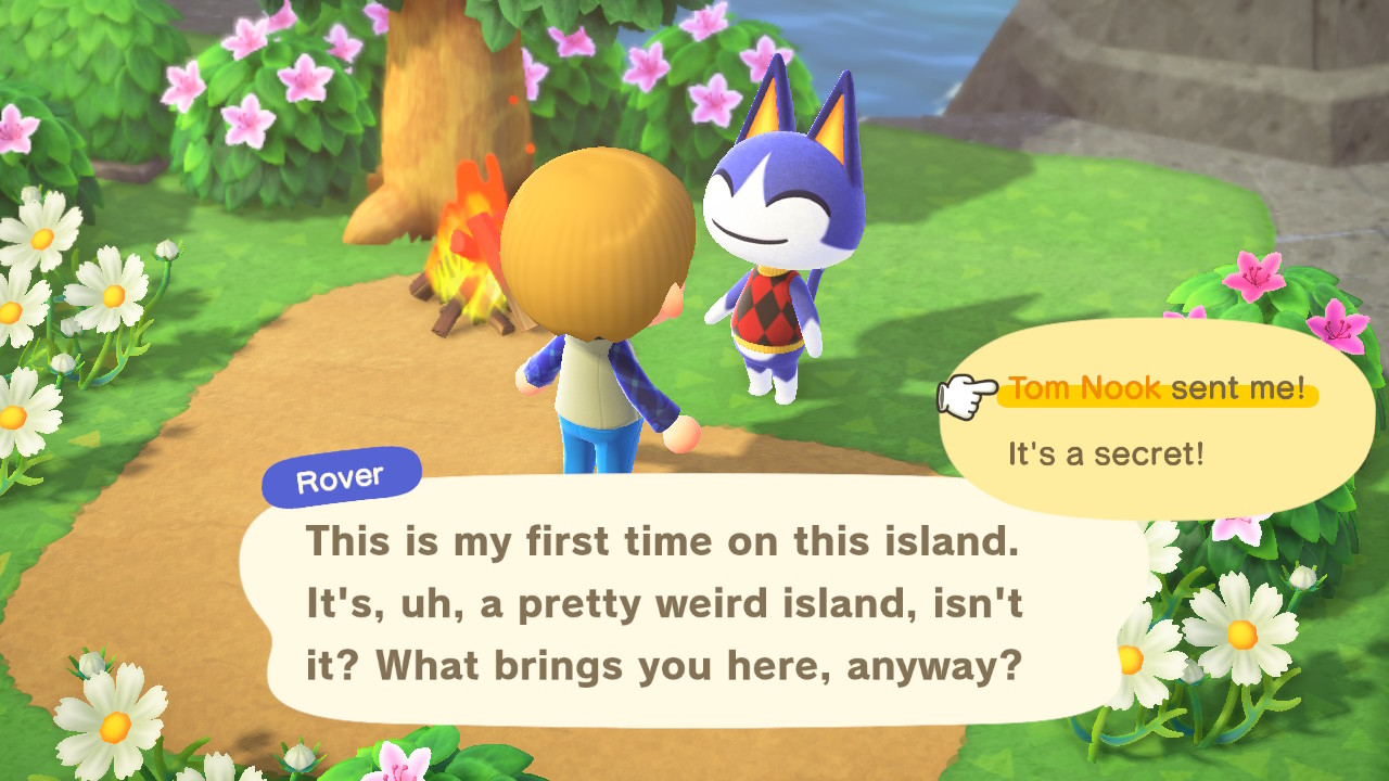 Animal Crossing: New Horizons - How To Solve Rover's Maze | Special May ...