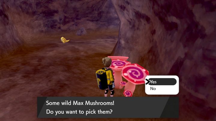 Pokémon Sword & Shield: Isle of Armor DLC - How To Get Max Mushrooms ...