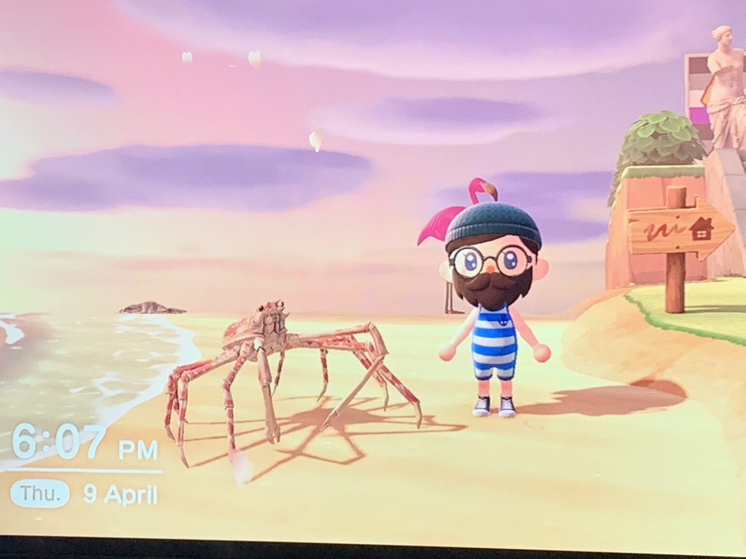 Animal Crossing: New Horizons - All The Sea Creatures You Can Display ...