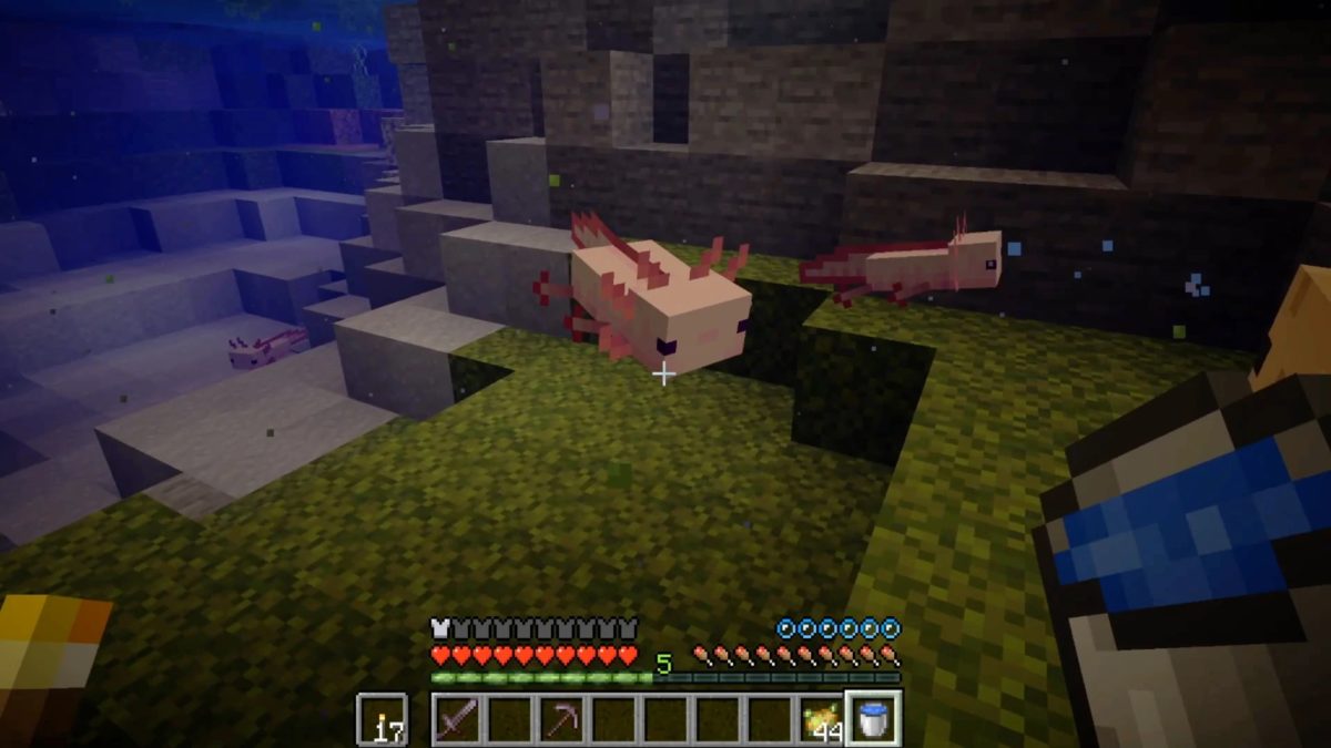 Minecraft: Caves & Cliffs - How To Spawn Axolotl In Your Seed - Gameranx