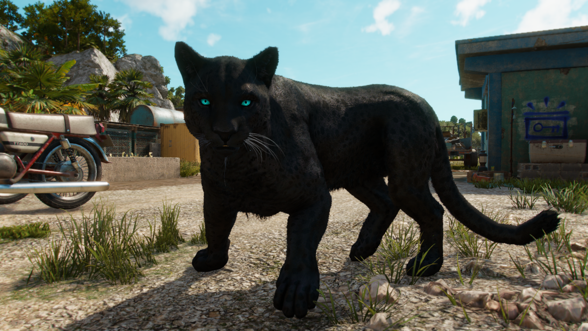 Far Cry 6: How To Unlock All 5 Amigos | Animal Companions Guide - Gameranx
