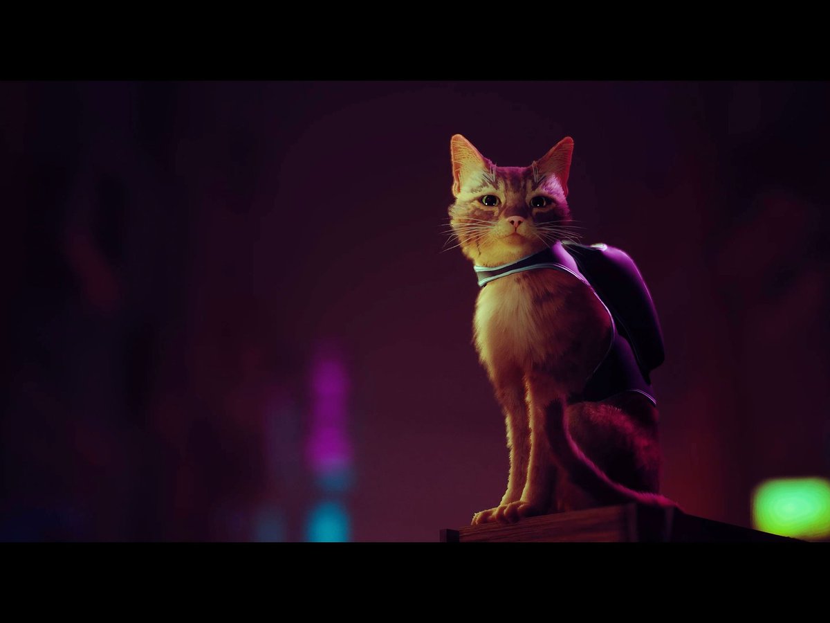 New PlayStation DataBase Listing Leaks Release Date for Stray - Gameranx