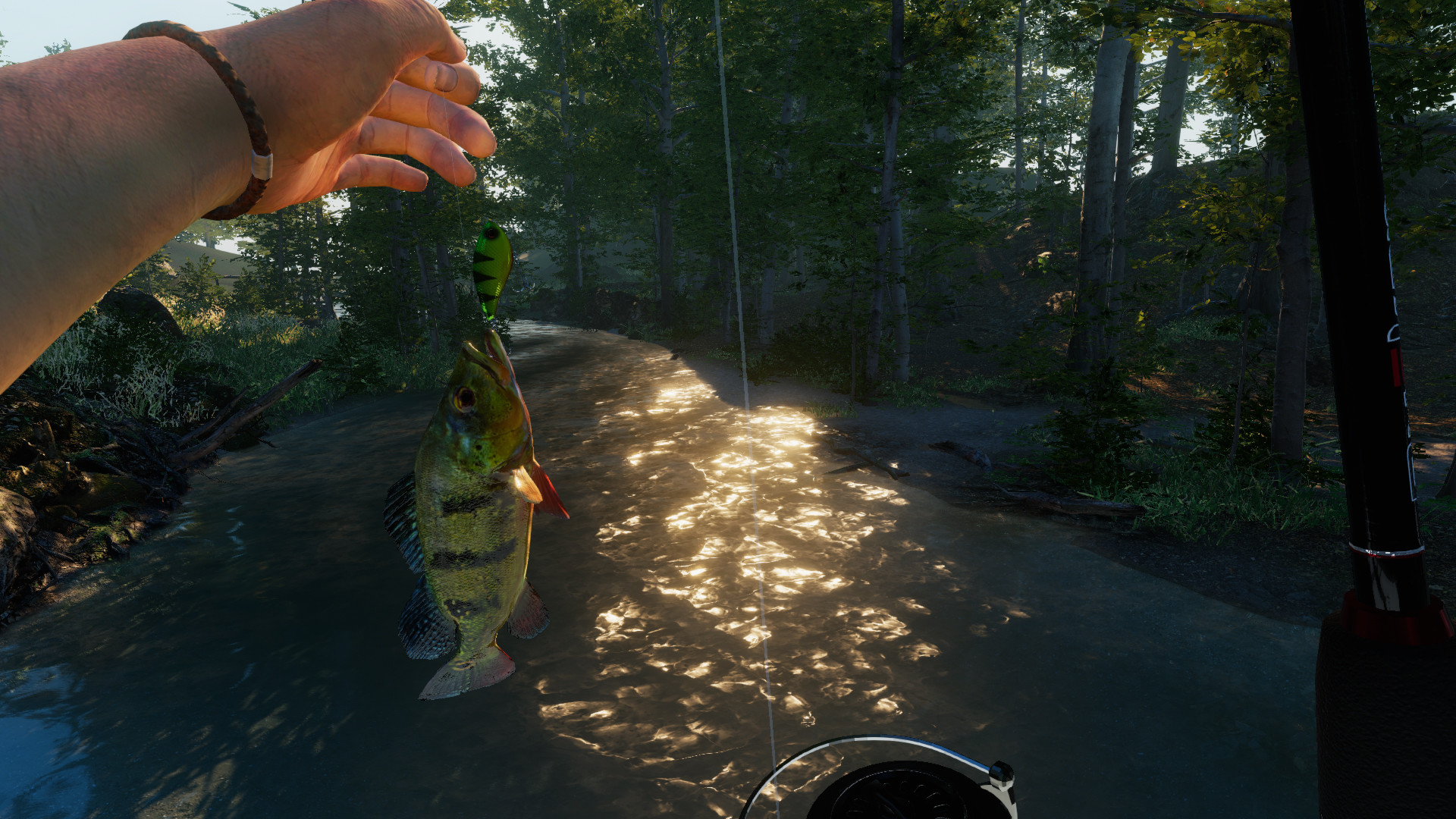 12 Best Fishing PC Games For When You're Stuck Inside - Gameranx
