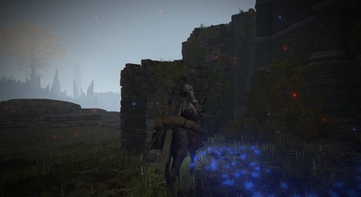 Elden Ring: How to Get Blaidd's Armor Set | Location Guide - Gameranx