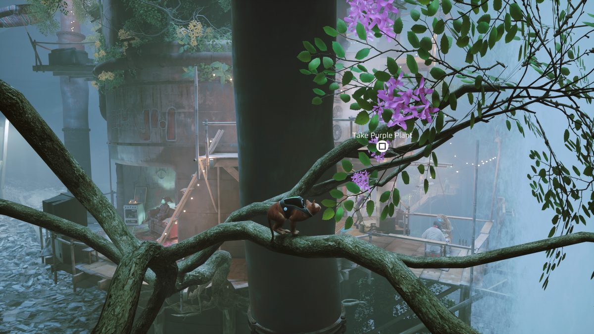 Stray: How to Find the Plant Badge | Badges Trophy Guide - Gameranx