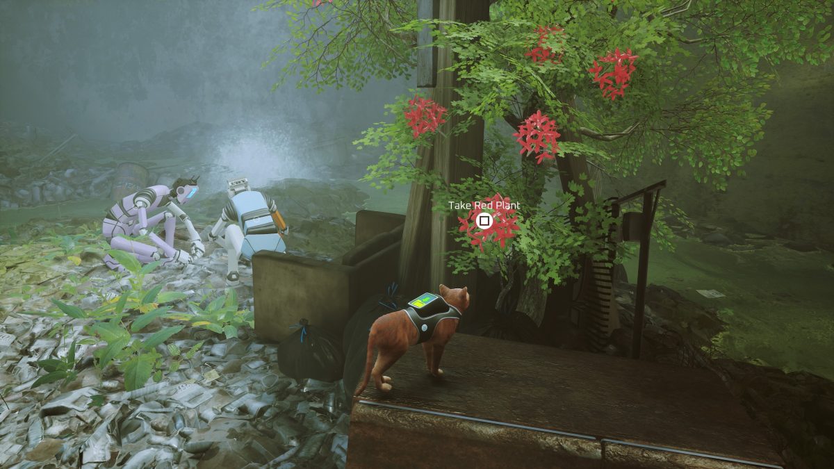 Stray: How to Find the Plant Badge | Badges Trophy Guide - Gameranx