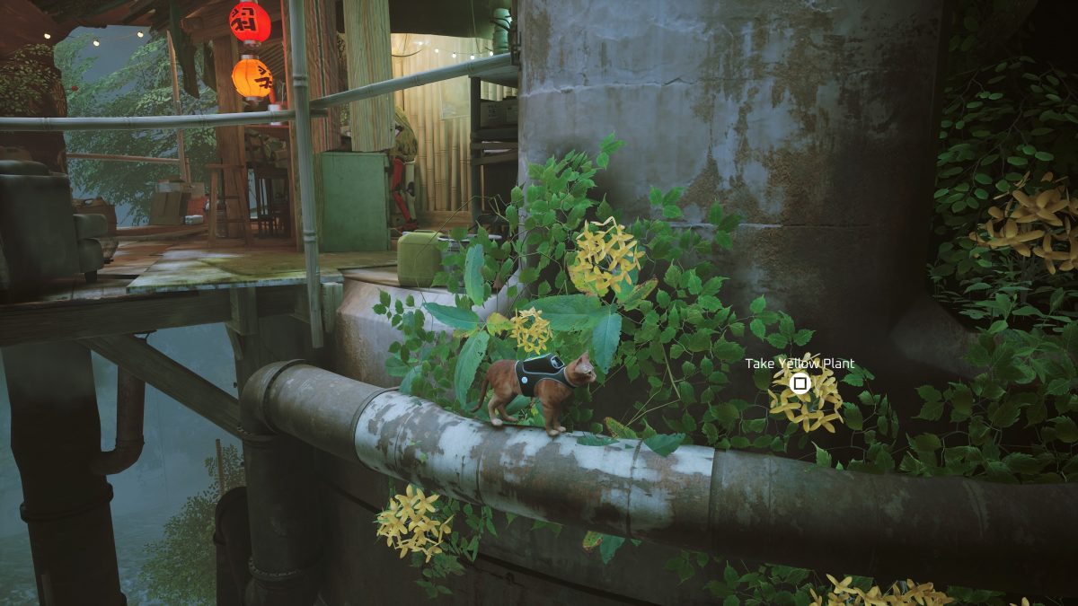 Stray: How to Find the Plant Badge | Badges Trophy Guide - Gameranx