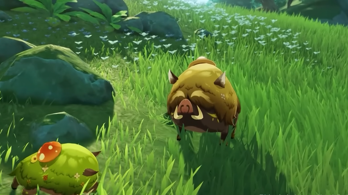 Genshin Impact: What Animals Can You Catch With The Omni-Ubiquity Net in Sumeru's Forests - Gameranx