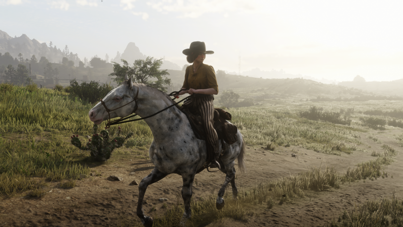 Red Dead Redemption 2 Mod Gives More Women Pants And Guns - Gameranx