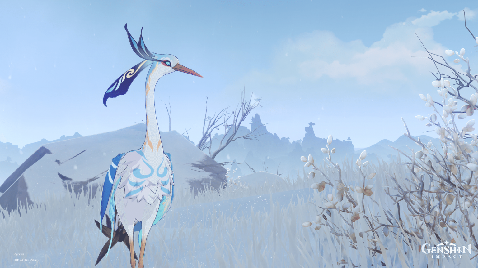 Genshin Impact: Cloud Retainer Could Appear As A Human For Chinese New ...