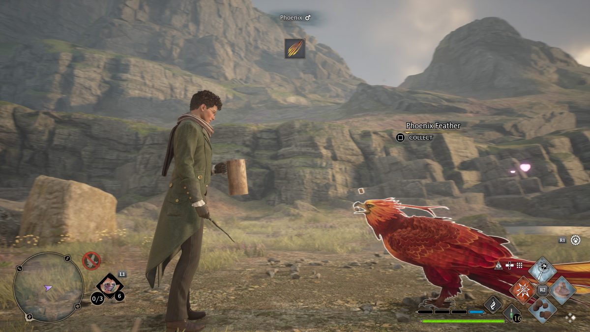 Hogwarts Legacy: How To Catch A Phoenix Pet & Get More Phoenix Feathers ...