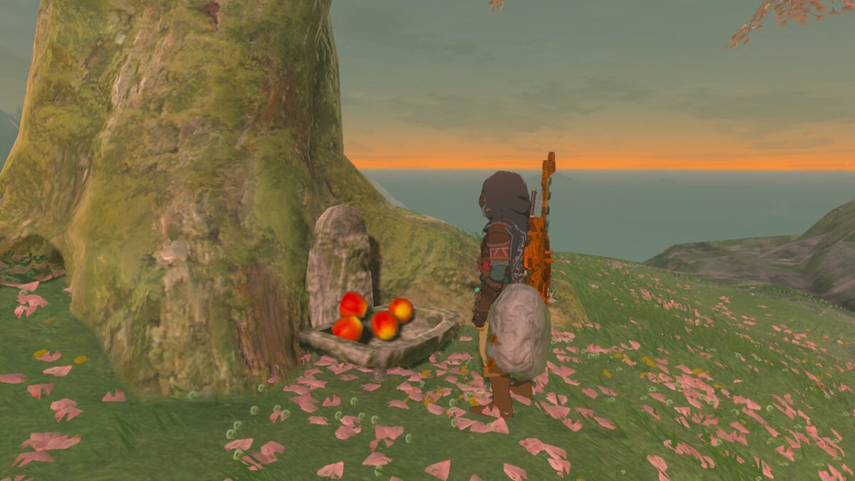 Legend of Zelda: Tears of the Kingdom - How To Find Bubbul Gems Easily ...