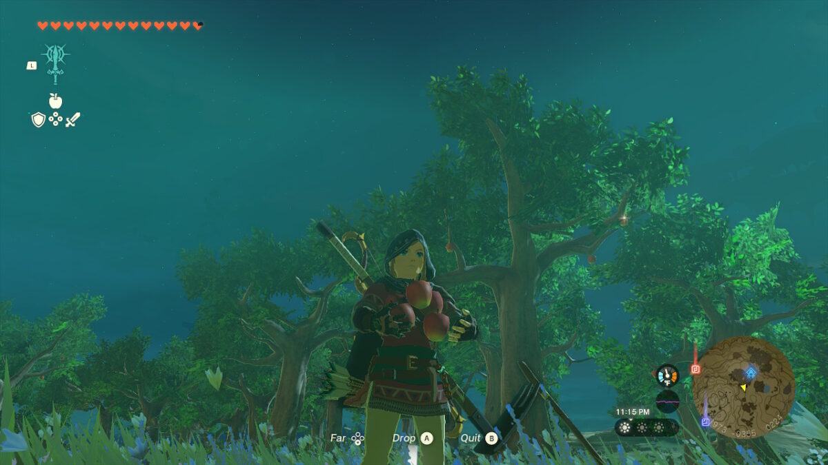 Legend of Zelda: Tears of the Kingdom - Best Early Location For ...