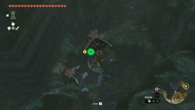 Legend of Zelda: Tears of the Kingdom - How To Get The Full Zora Set ...