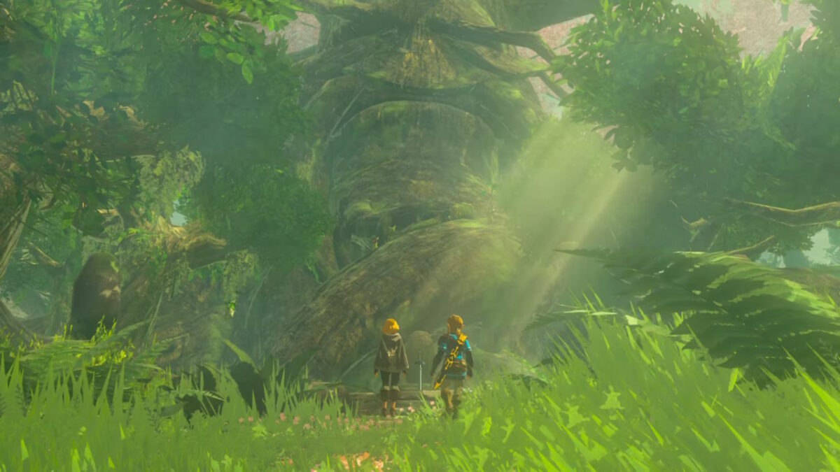Legend Of Zelda: Tears Of The Kingdom - How To Cure The Great Deku Tree ...