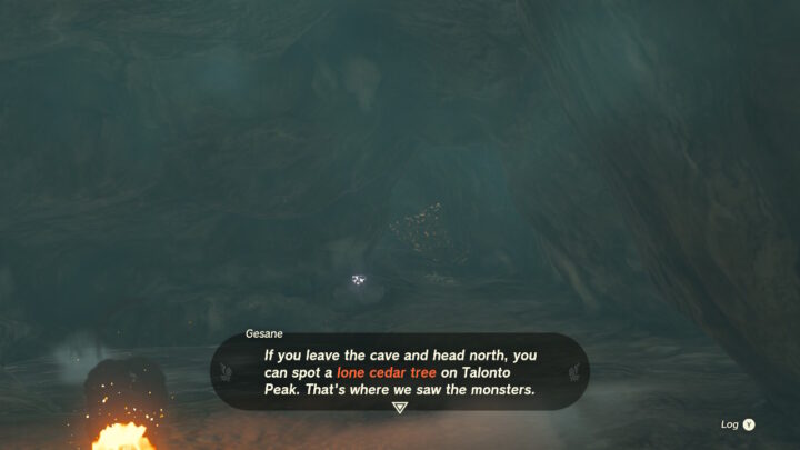 Legend of Zelda: Tears of the Kingdom - Tulin of Rito Village | Main ...