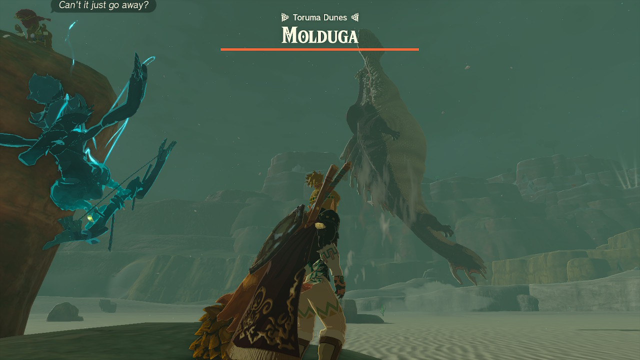 Legend Of Zelda: Tears Of The Kingdom - Comment Vaincre Molduga | Guide ...