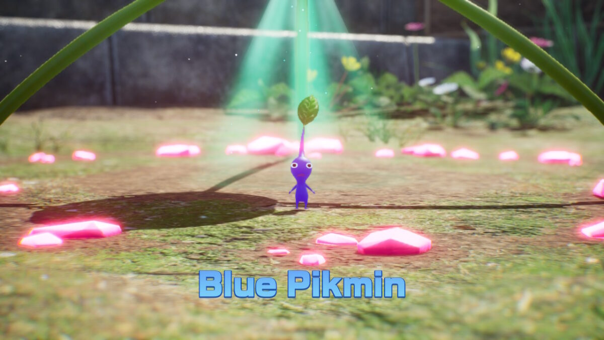 Pikmin 4 - How To Unlock Blue Pikmin Early | Tips & Tricks - Gameranx
