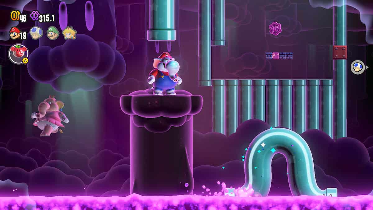Super Mario Wonder: Where To Find Every Collectible In ‘Swamp Pipe ...