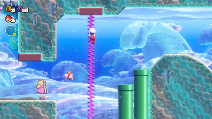 Super Mario Wonder: How To Complete ‘Leaping Smackerel’ - Gameranx