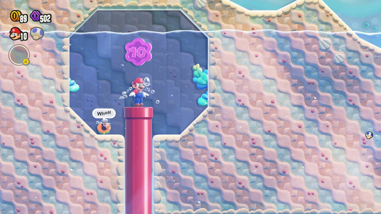 Super Mario Wonder: Where To Find Every Collectible In ‘Robbird Cove ...