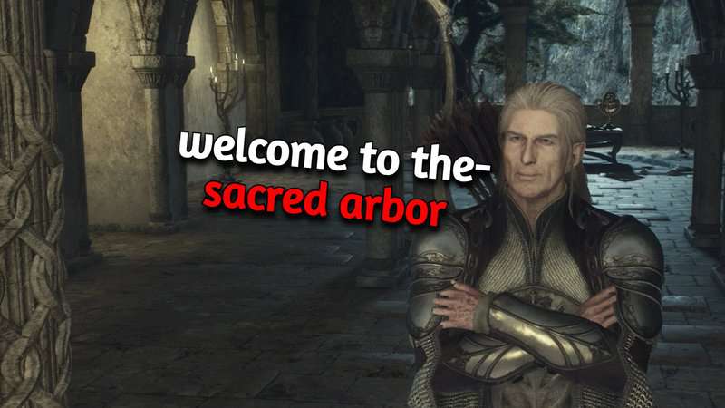 Dragon's Dogma 2: How To Unlock Secret Elf Village | Sacred Arbor Guide ...