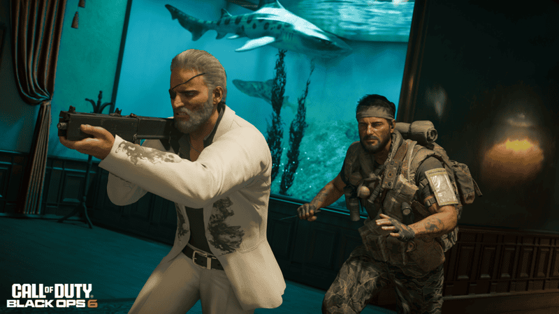 Black Ops 6 and Warzone: What is the Function of the Buffer Weight ...