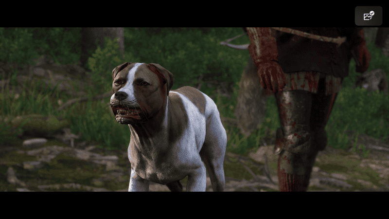 Kingdom Come: Deliverance 2 - How To Get Your Dog | Mutt Location ...